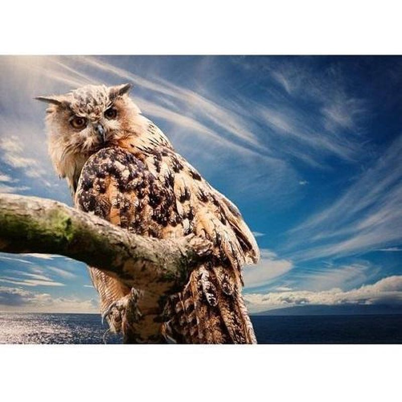 Uggla på trädstam | Diamond painting – Diamond Painting Sweden